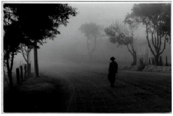 Diary of a girl in love