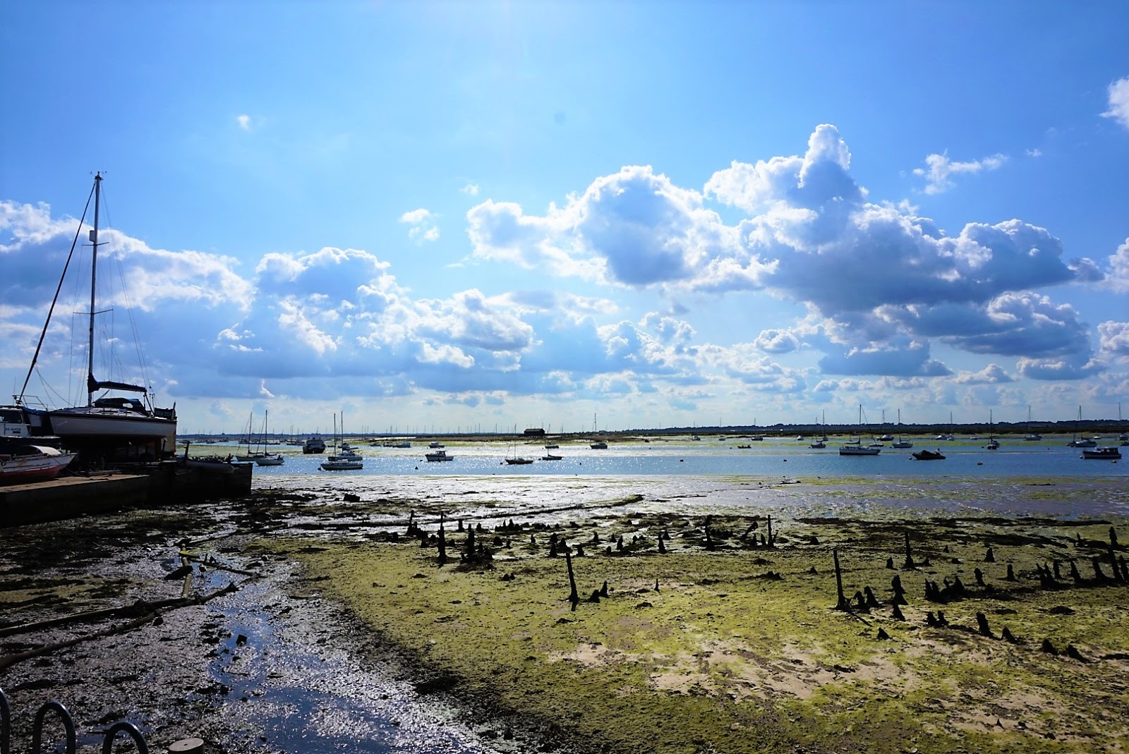 A DAY TRIP TO MERSEA ISLAND | being erica