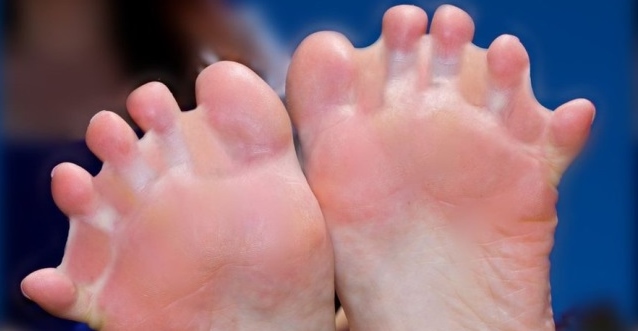 Laboratório Terra S.A.: Morte celular programada: Eu, matador de mim!?