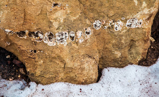 Walking Arizona: A Line of Geodes
