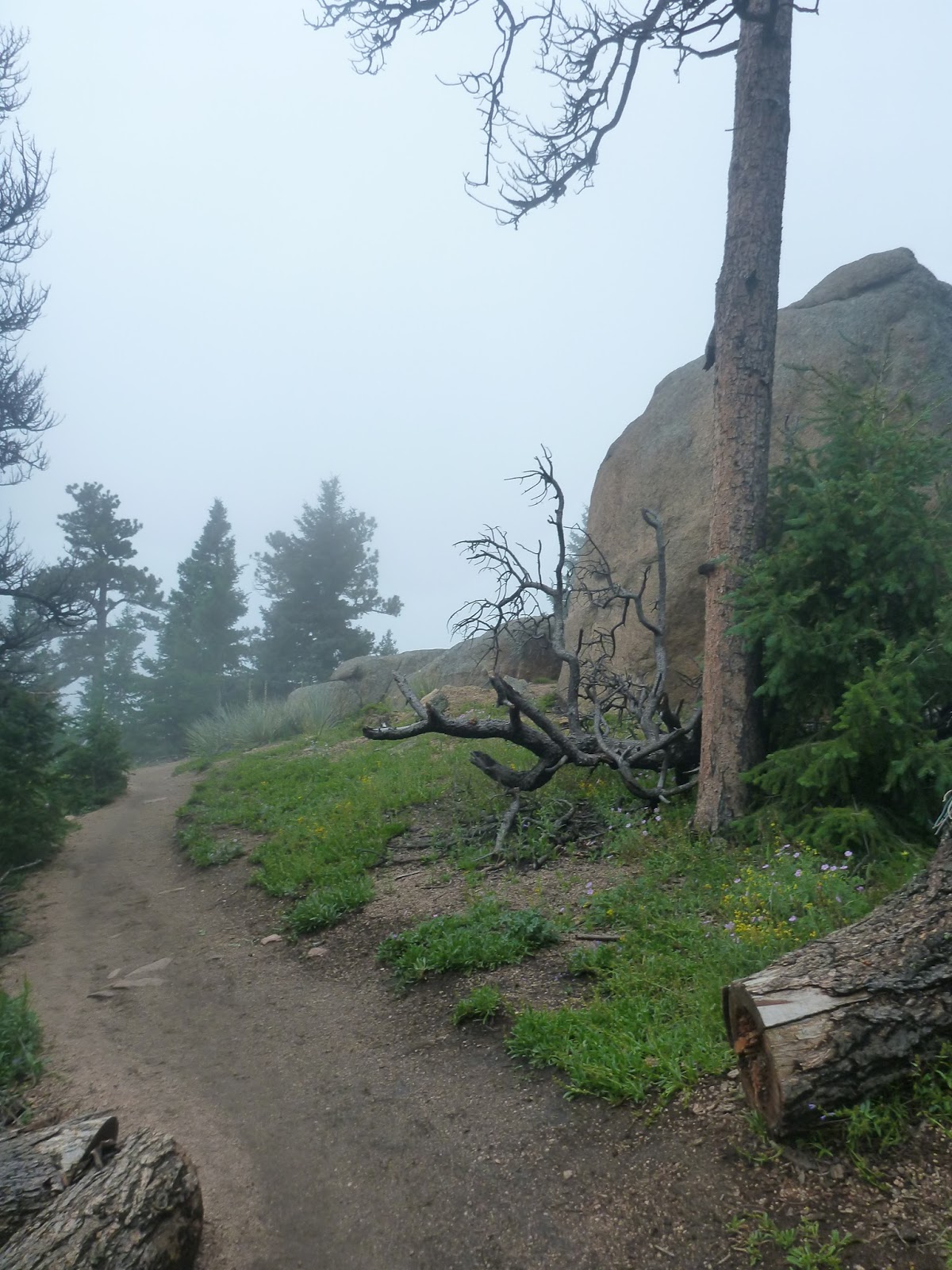 Hiking the Rockies ... and Beyond: Manitou Springs Incline- 2500 steps ...