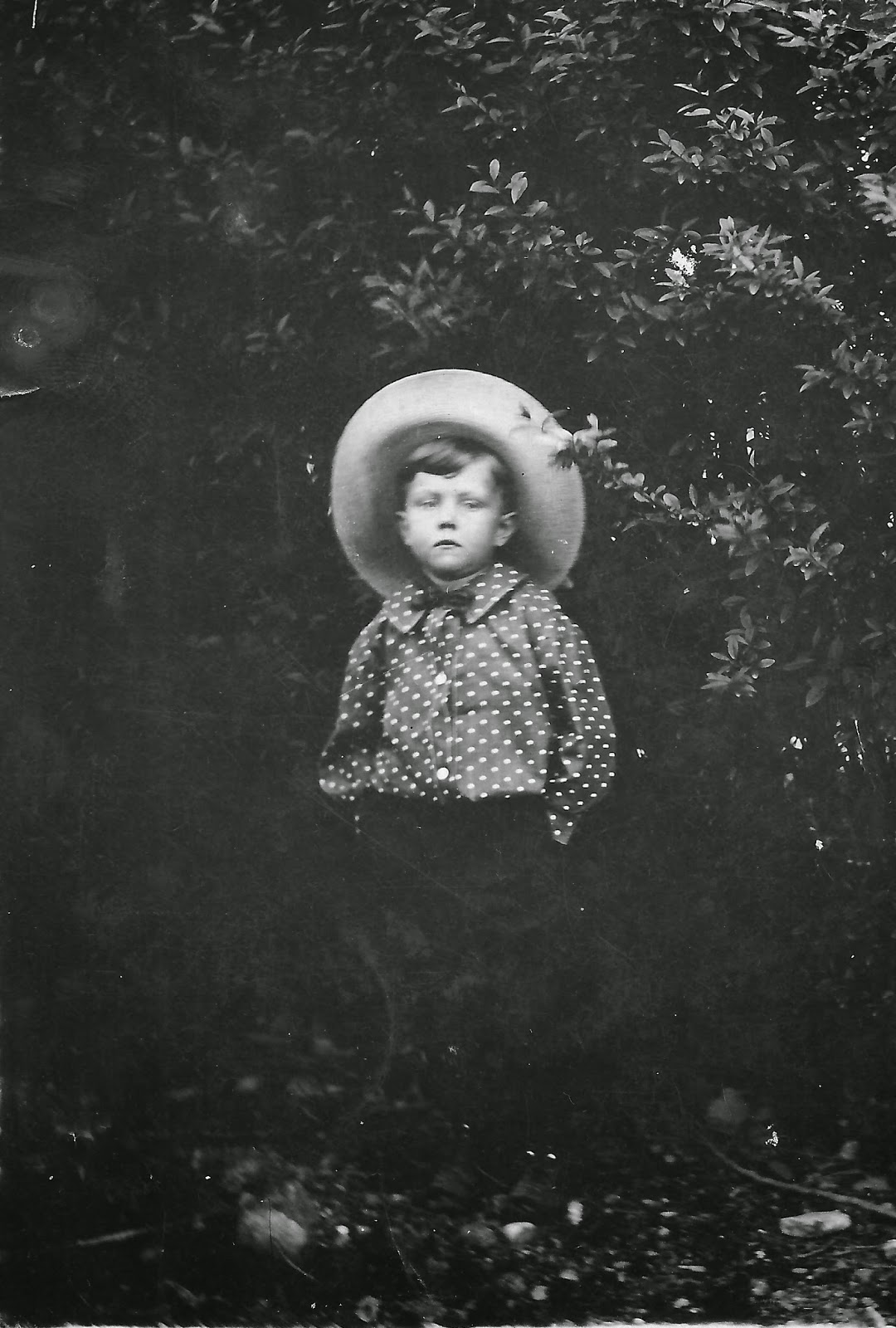 A Place to Share: George Lloyd Ostler and Georgianna Ricks