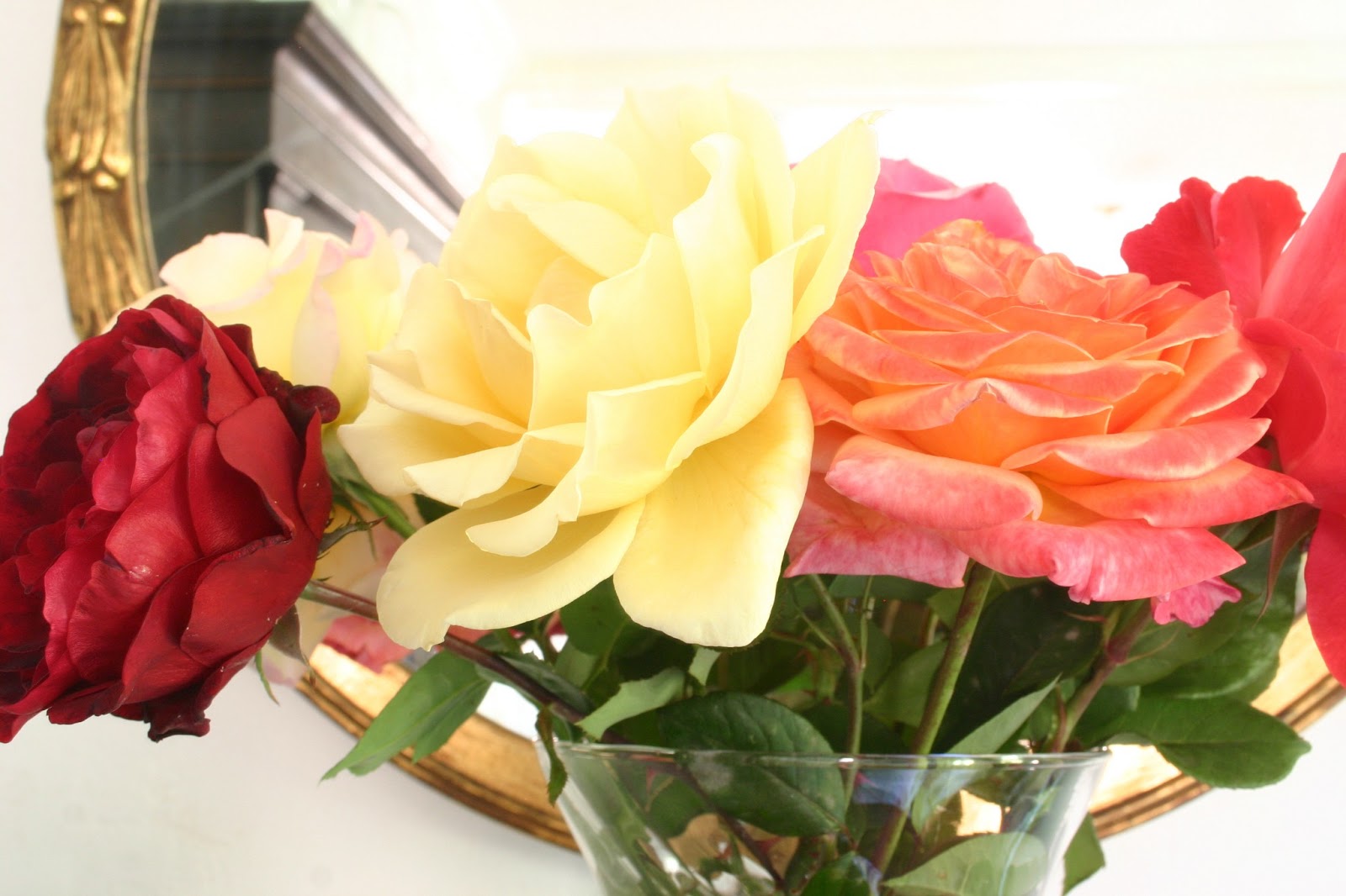 roses in the house...and other things - The Gardener's Cottage