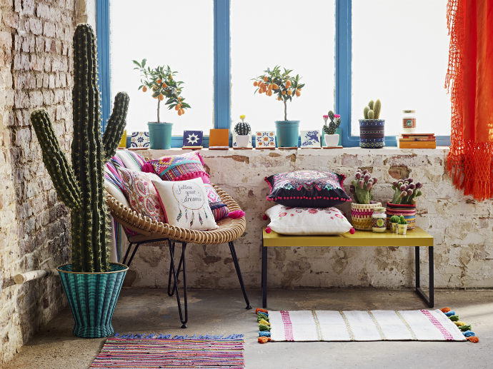 Deco: Los beneficios de tener cáctus en casa - I love it!