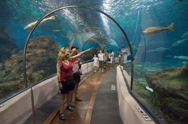 Vacante in Grecia: Atractii turistice in Rhodos - Acvariul