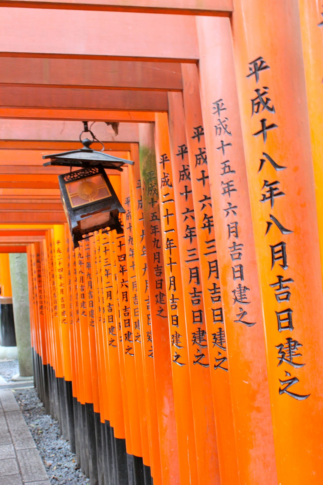 Midwest to South Korea: Torii torii torii