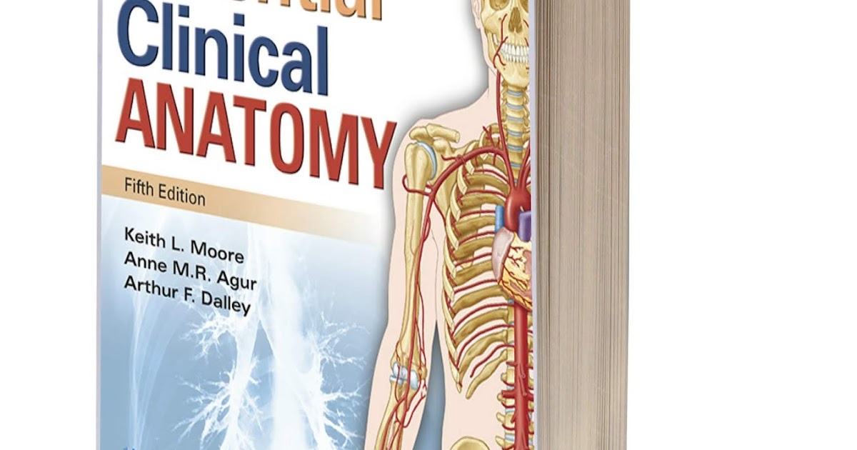 Khmer Medical Book: Essential clinical anatomy