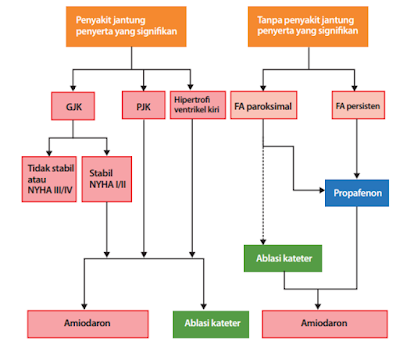Fibrilasi Atrium - Panduan Praktik Klinis Jantung dan Pembuluh Darah