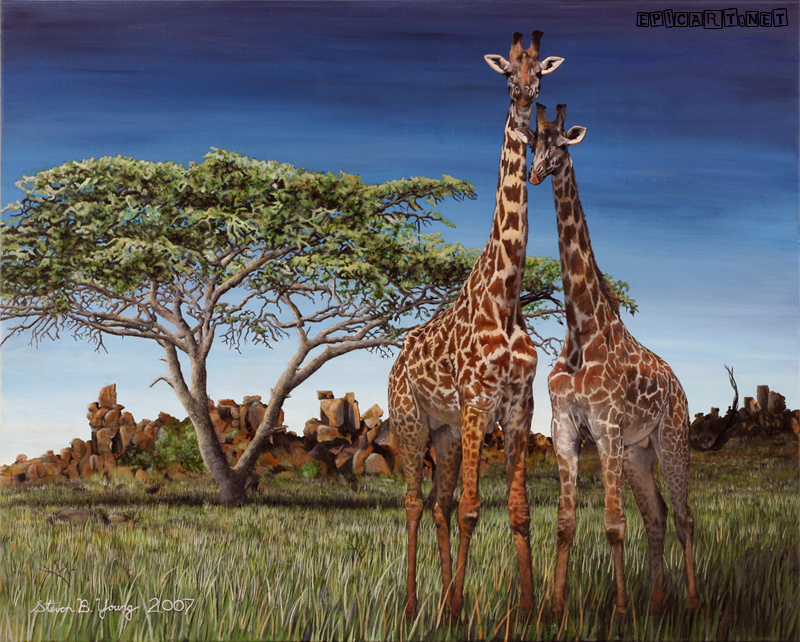 Alli's Alley: Wildlife Wednesday: Giraffe