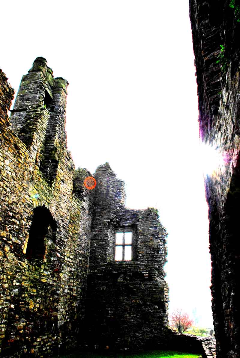 giragiraffa: "IRLANDA"