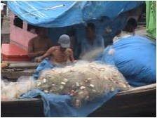 Memasang talisamping