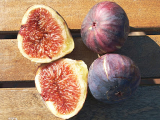 Seattle Garden & Fruit Adventures: The allure of Striped figs