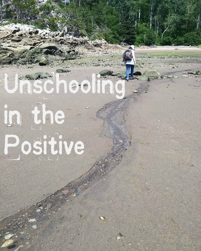 I'm Unschooled. Yes, I Can Write.: Unschooling in the Positive: How to ...