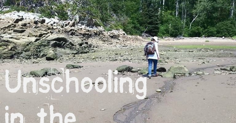 I'm Unschooled. Yes, I Can Write.: Unschooling in the Positive: How to ...