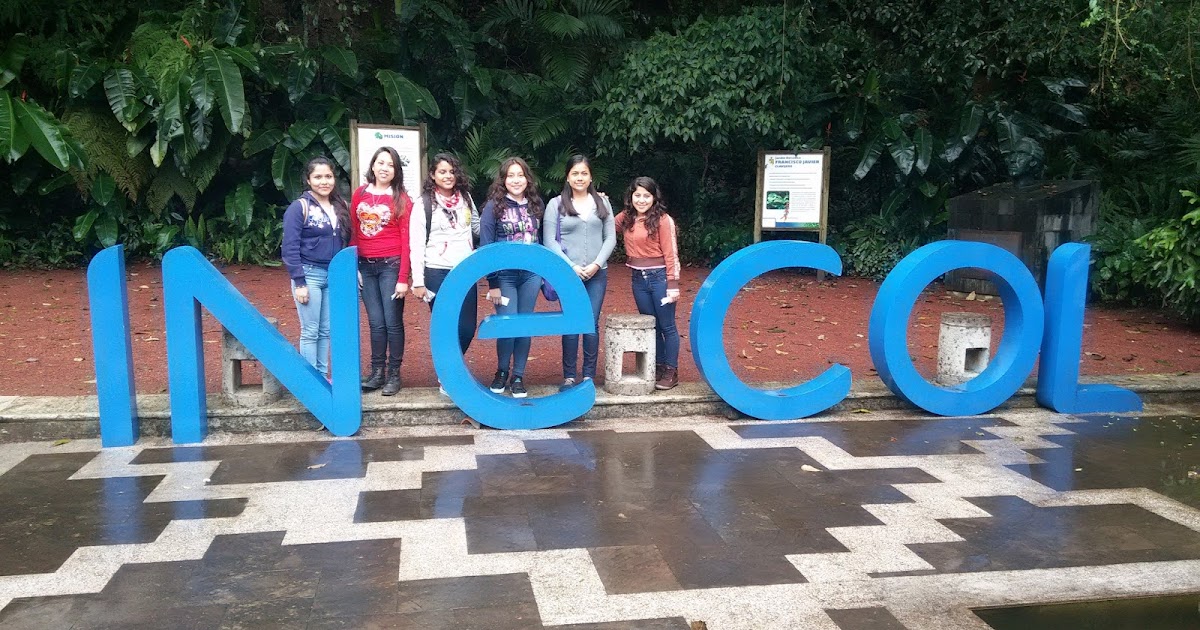 Alimentos 2015 Grupo B: Instituto de ecología INECOL