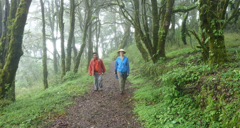 Travel Myanmar: Why travelers visit Nat Ma Taung (or) Mount. Victoria ...