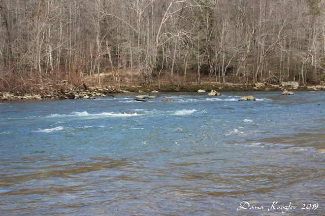Cumberland Gal: Gordon Branch Falls and Nemo Bridge