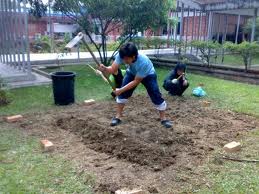 KAKI KEBUN: PENYEDIAAN TAPAK TANAMAN