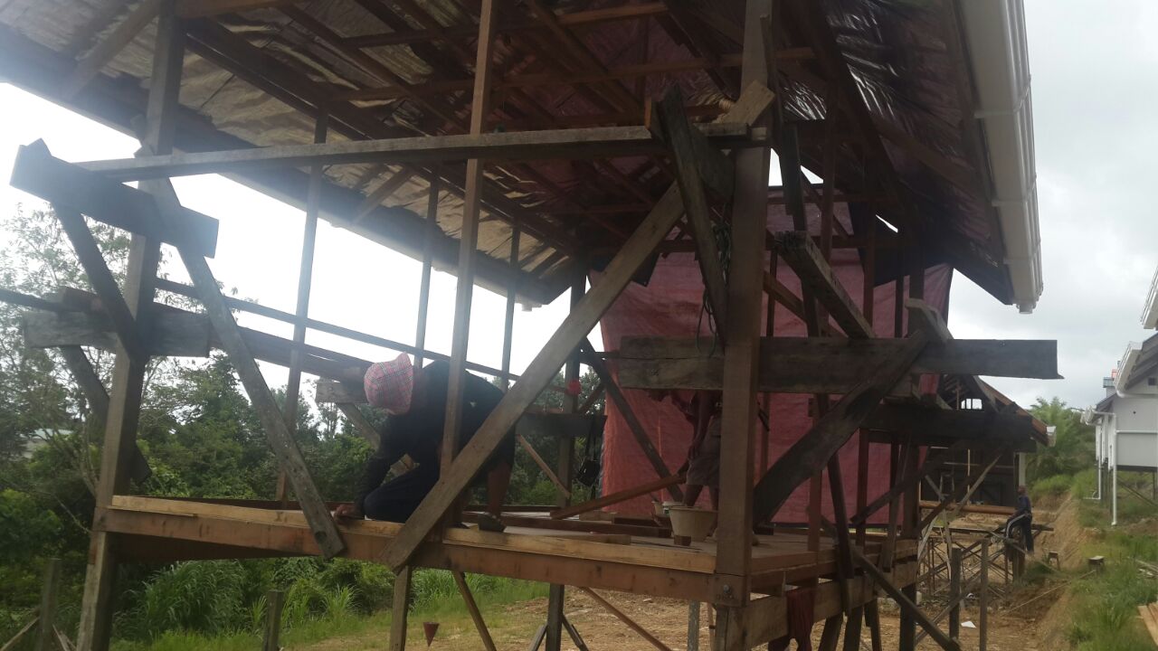 Swiftlet Farming : Swiftlets Farming Equipments, Edible Birds Nest and ...