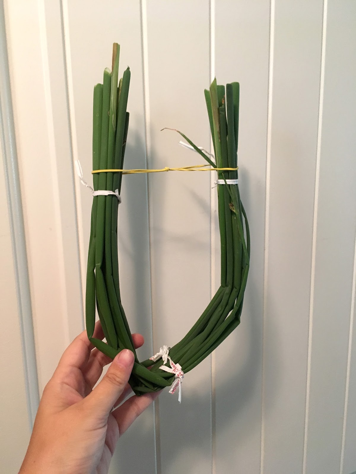 A school of fish: Ancient Egypt activities for children