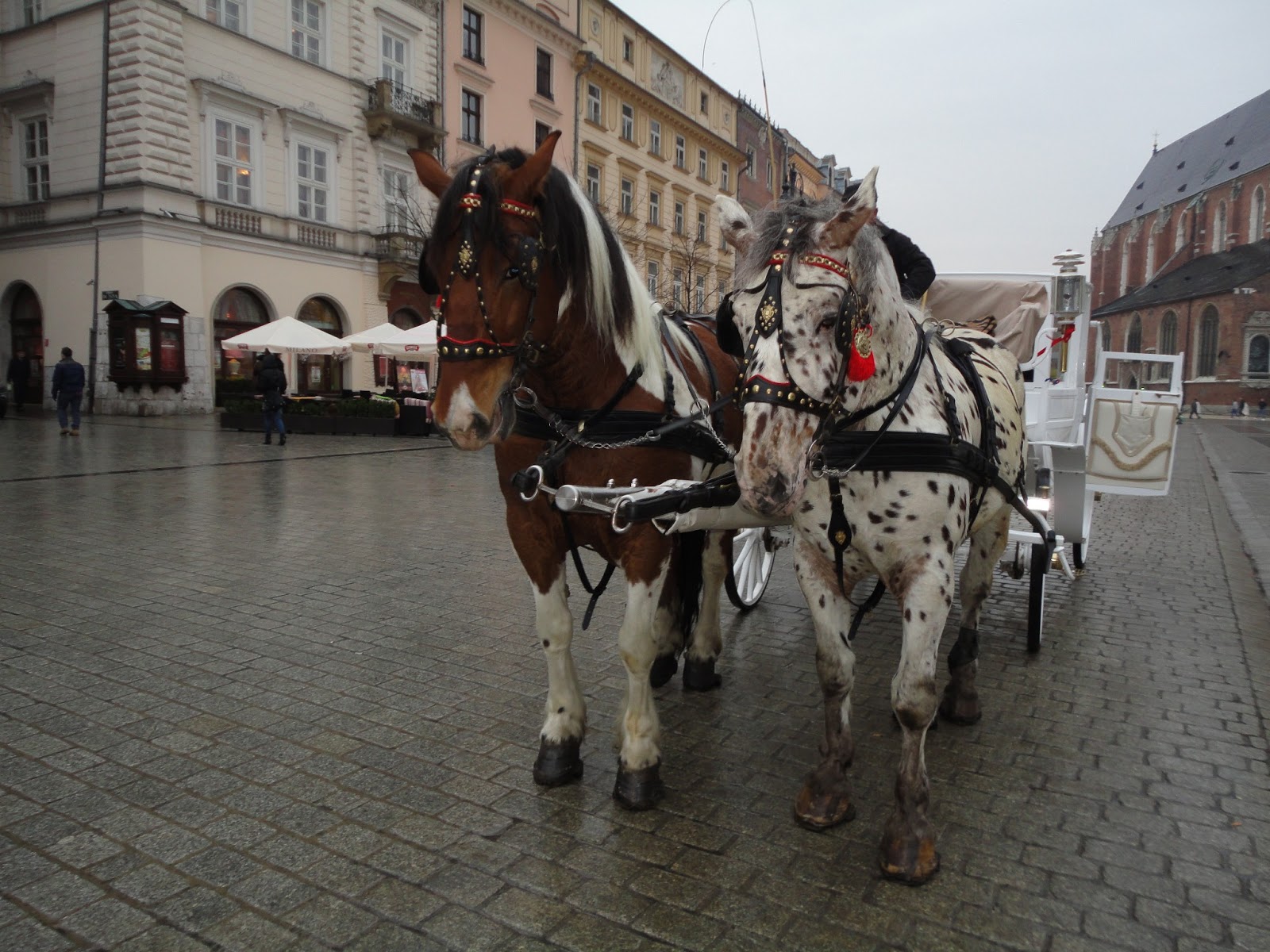 Le Signorine di Via Barberini