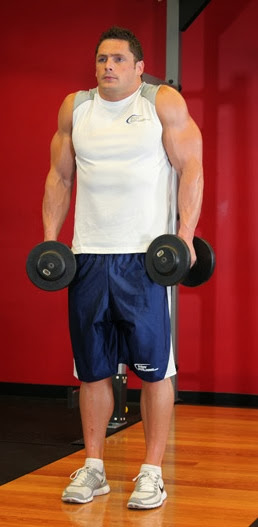 Basic exercises to build muscles of the shoulders (Pictures ...