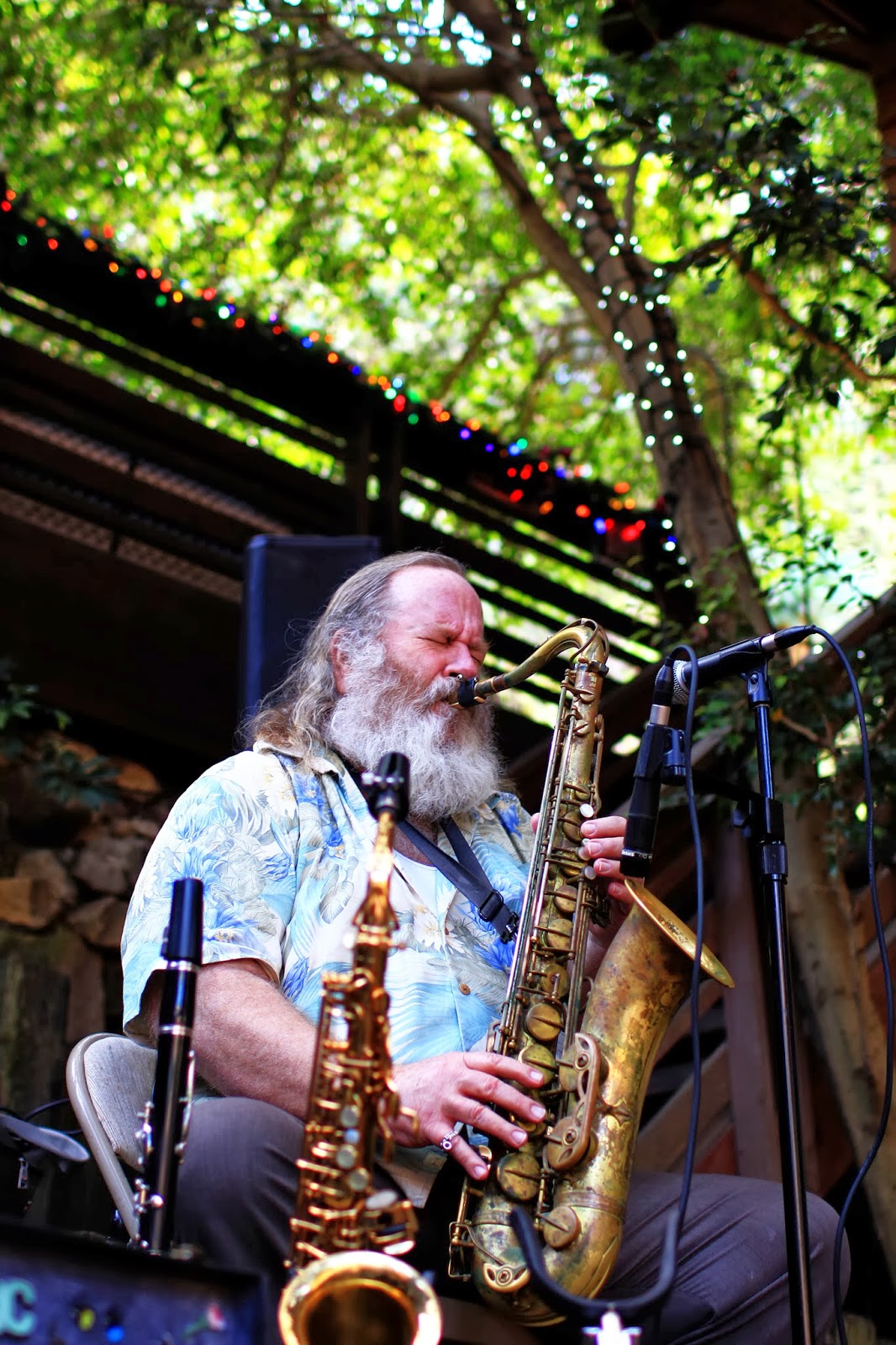 The Official Laguna Beach Blog: Sawdust Winter Fantasy