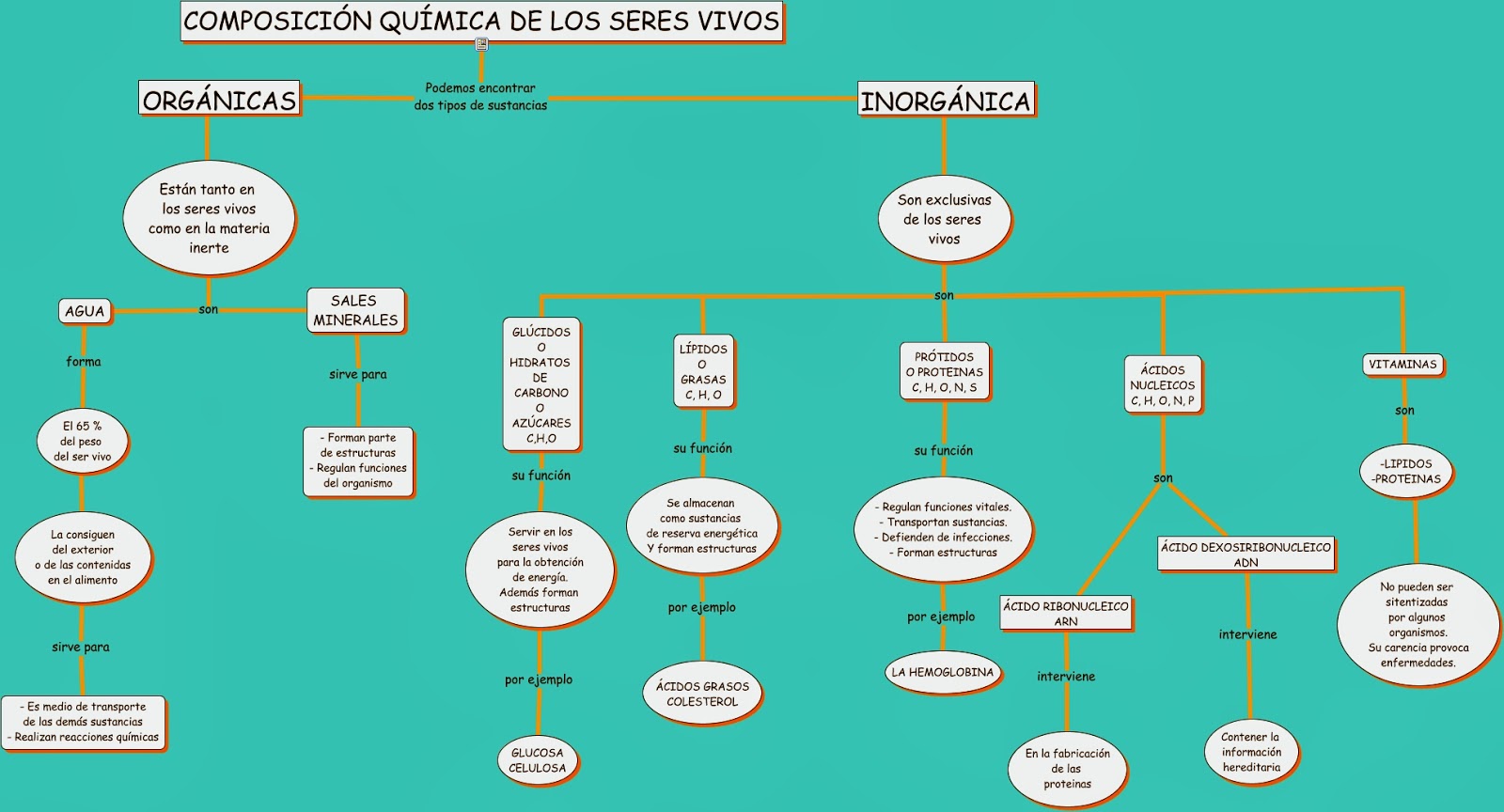 Composicion Quimica De Los Seres Vivos Mapa Mental Porn Sex Picture