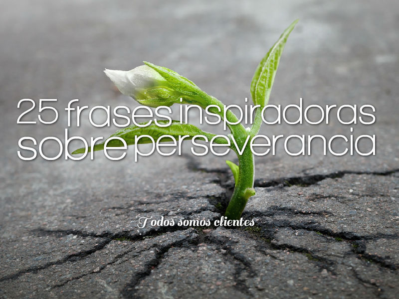 Todos Somos Clientes: 25 Frases Inspiradoras Sobre Perseverancia