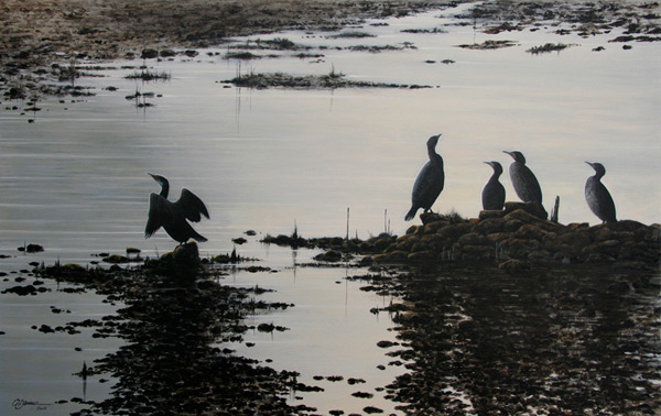 Arturo de Miguel - Wildlife Art: Cormoranes en La Ría.