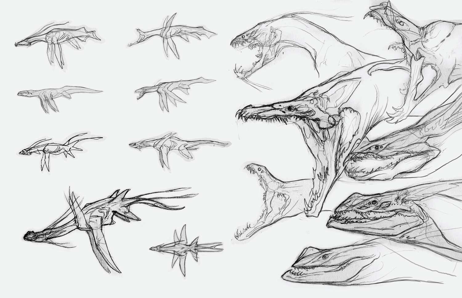 Pandora Concepts Of Animal