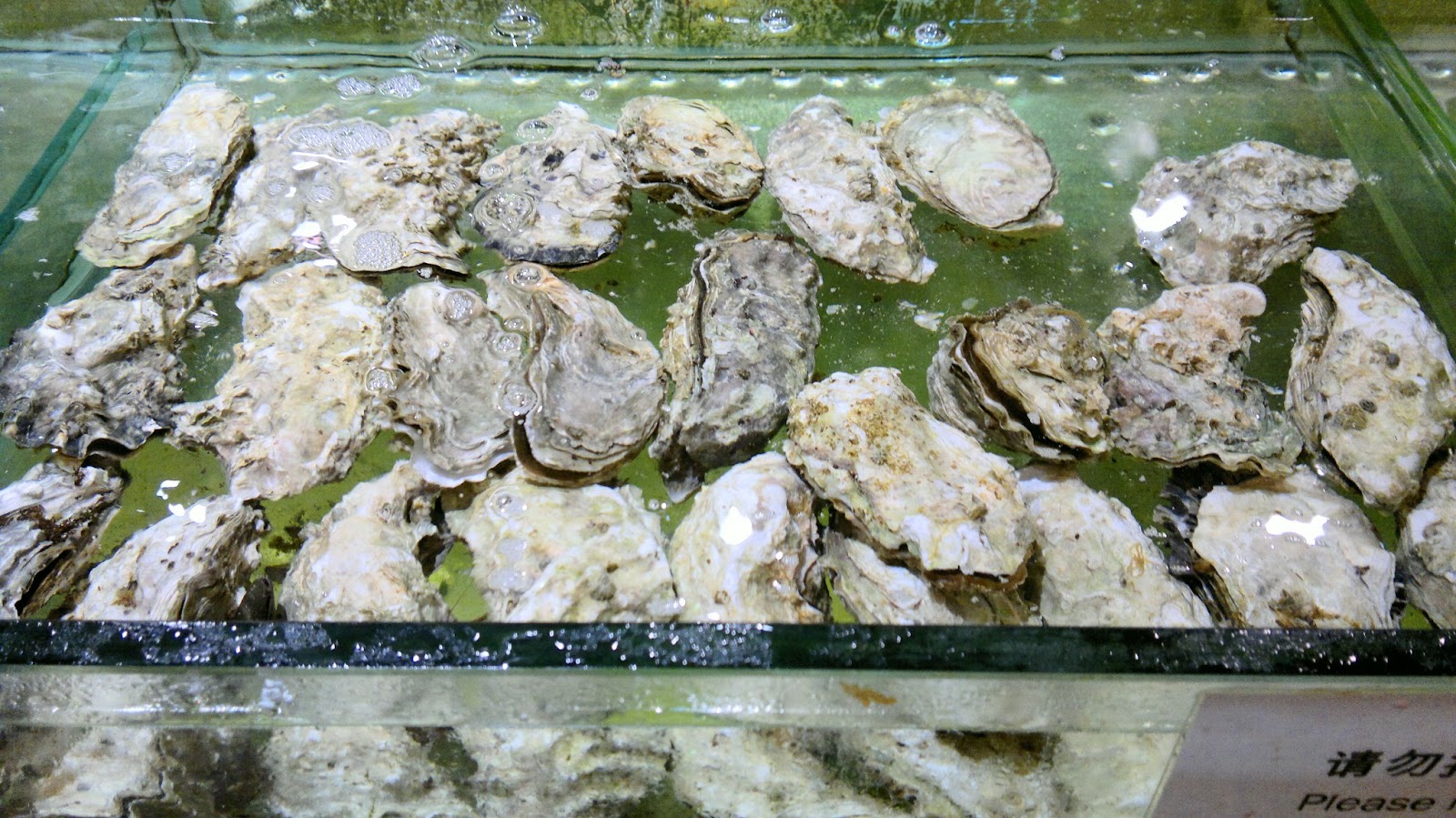 Mille Feuille: Long Beach Seafood Restaurant (Dempsey Hill)