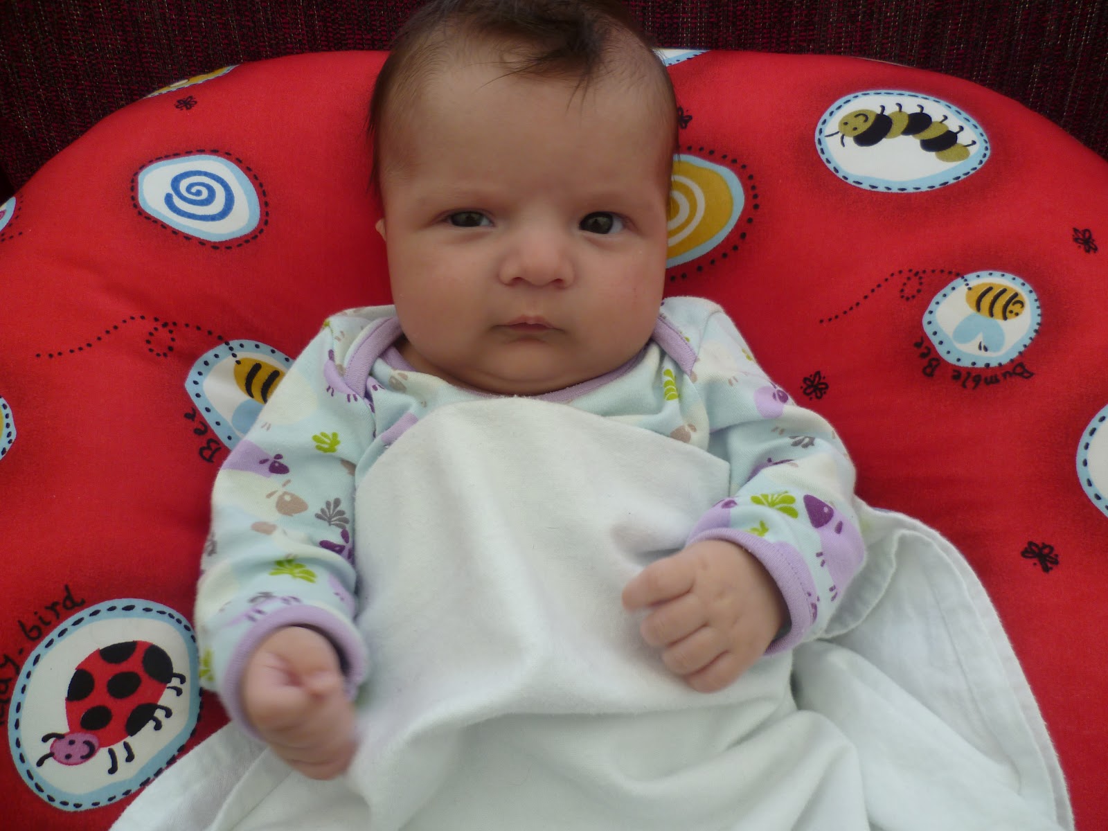 Spot the Greek Baby! | A Greek Abroad