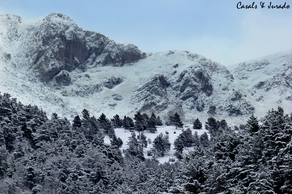 CRÒNIQUES NATURALISTES: 02/23/13