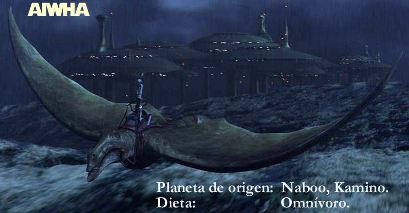 Distrito Star Wars: Aiwha