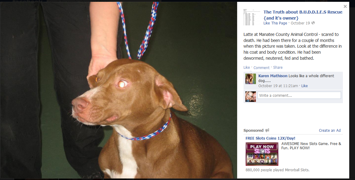 Rescue Hall Of Shame: B.U.D.D.I.E.S Rescue Keith Wandell