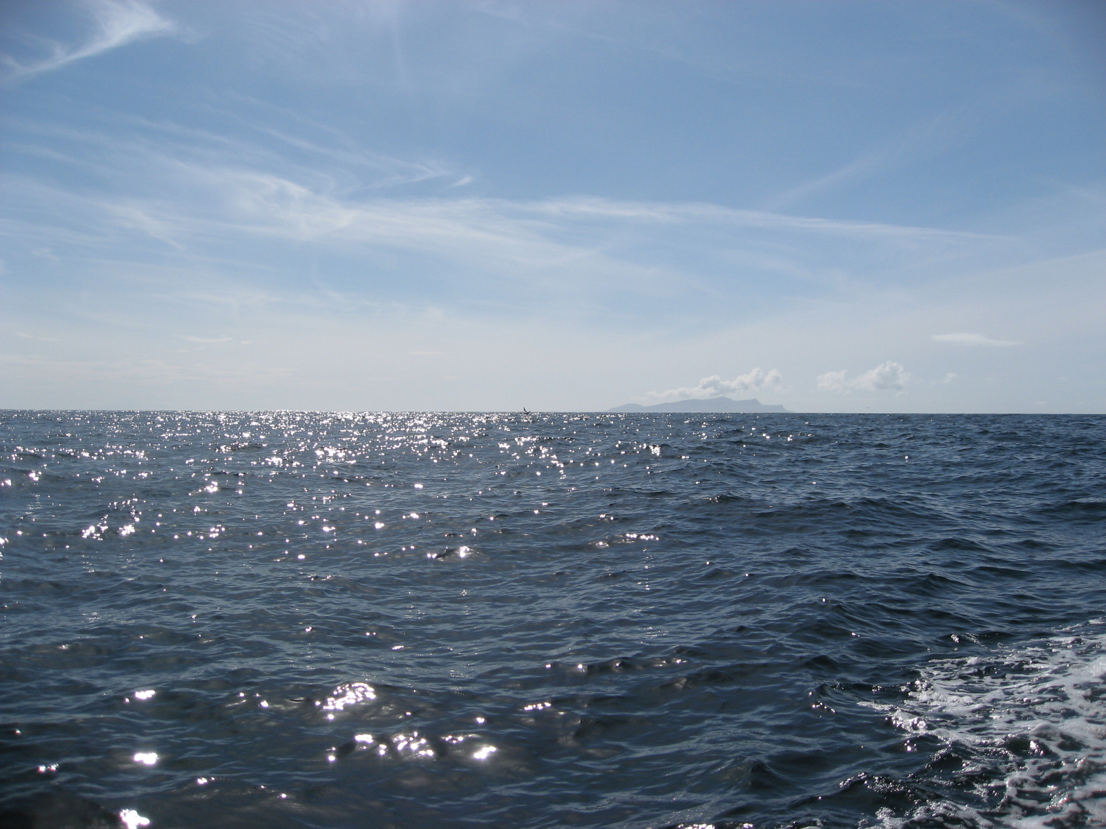 Desperate Reader: A Midsummer Foy – Janice Armstrong and Meilo So