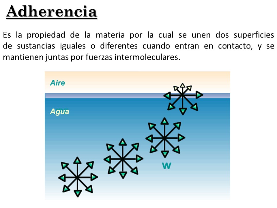 Física: Presentación Cohesión, Adherencia y Capilaridad