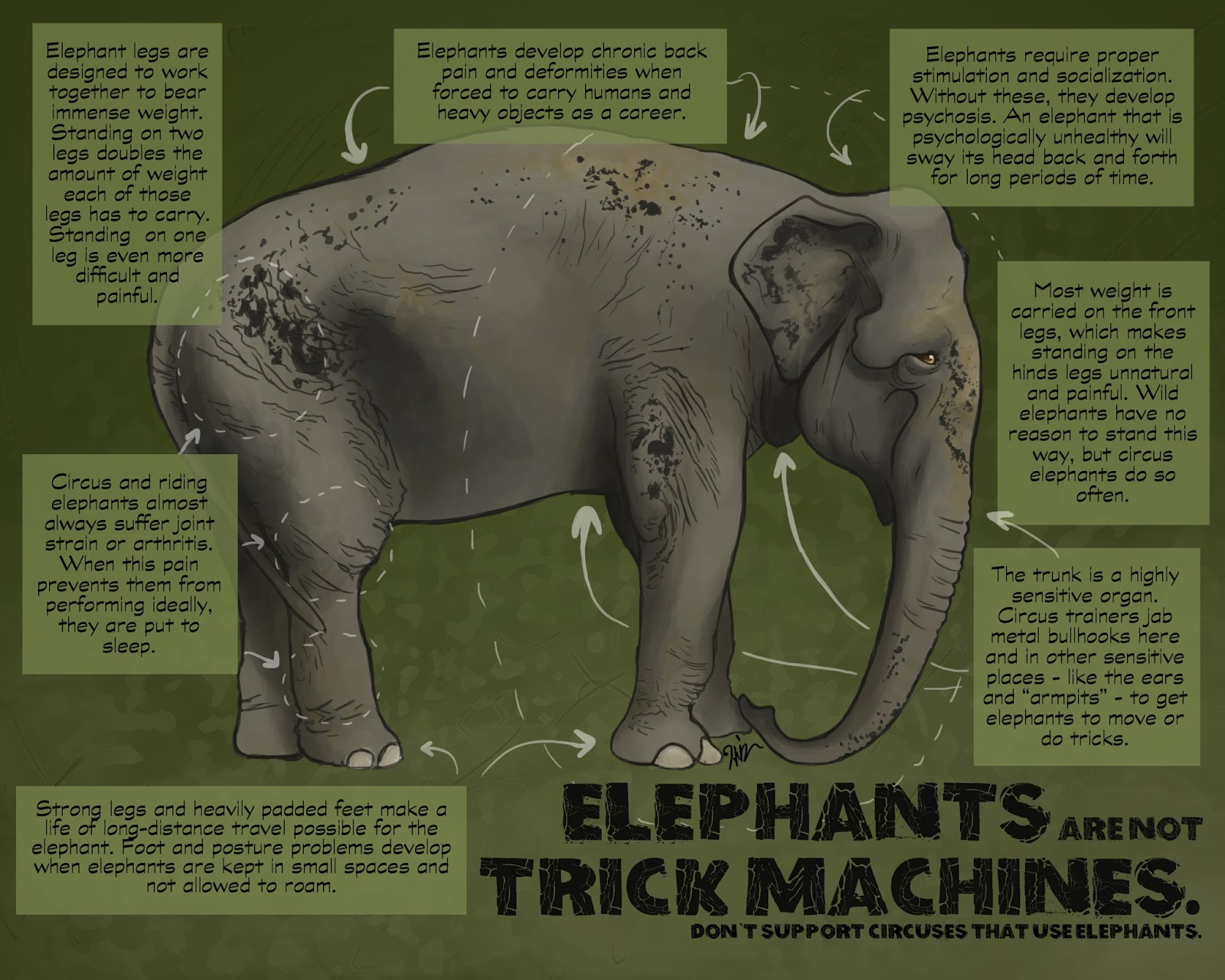 Thoughts in Cartoon - Words and Art by Hailey Kaufman