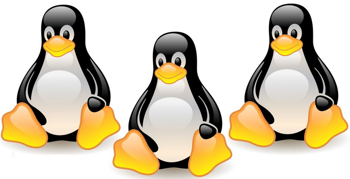 Fungsi Perintah RM ~RF di Sistem Operasi Linux - About Technology