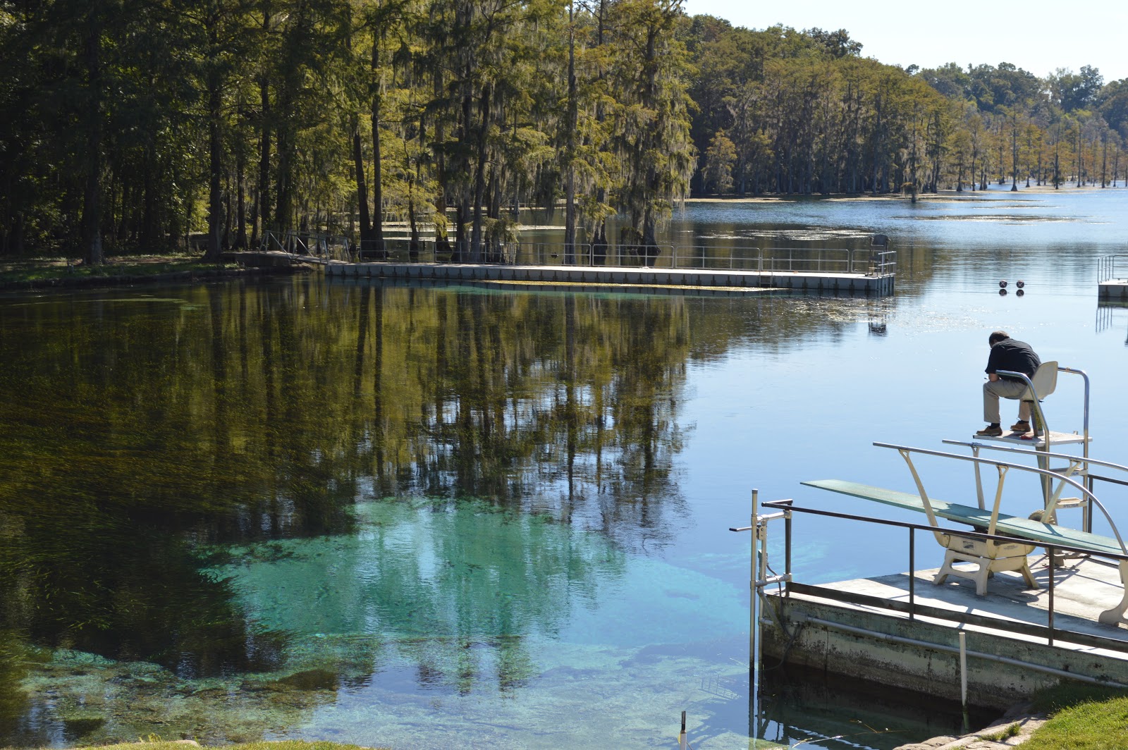 Dale Cox, Historian & Author: The Spirit of Blue Springs: A Jackson ...