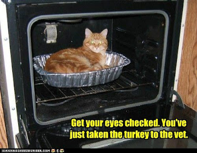 Meta Watershed: LOLCATS WEEKLY ROUND-UP FOR 31 JULY 2012