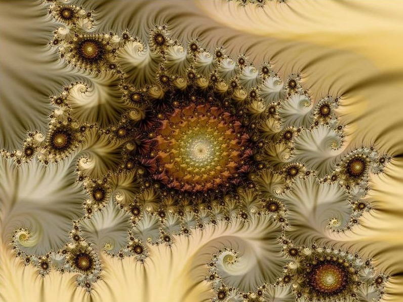 ¿Qué son los fractales? : Bloghotpoint