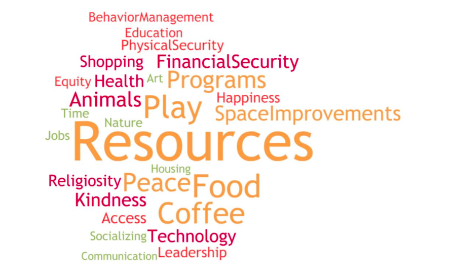 The Show Me Librarian: Community Aspirations for Strategic Planning