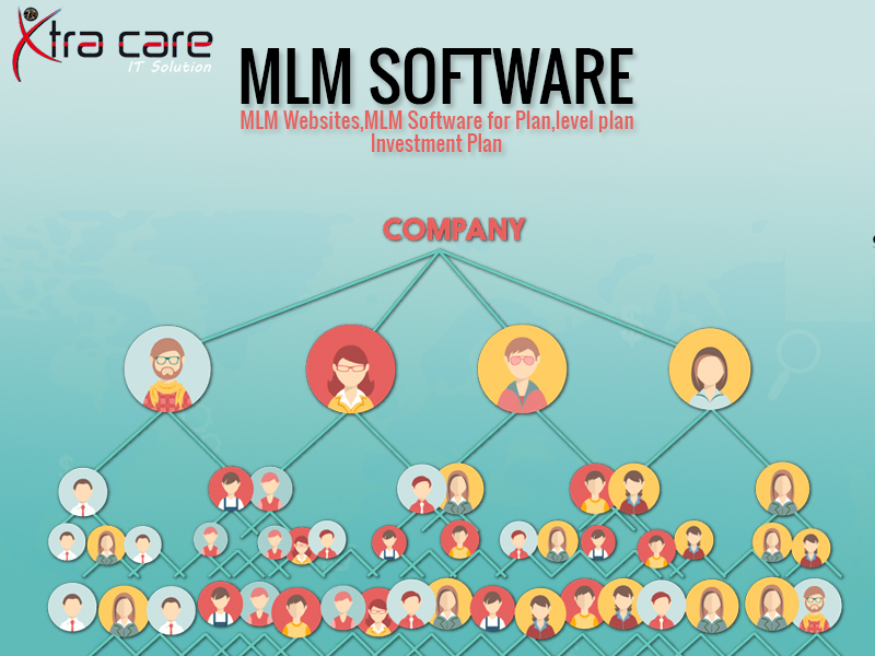 MLM Software Developer