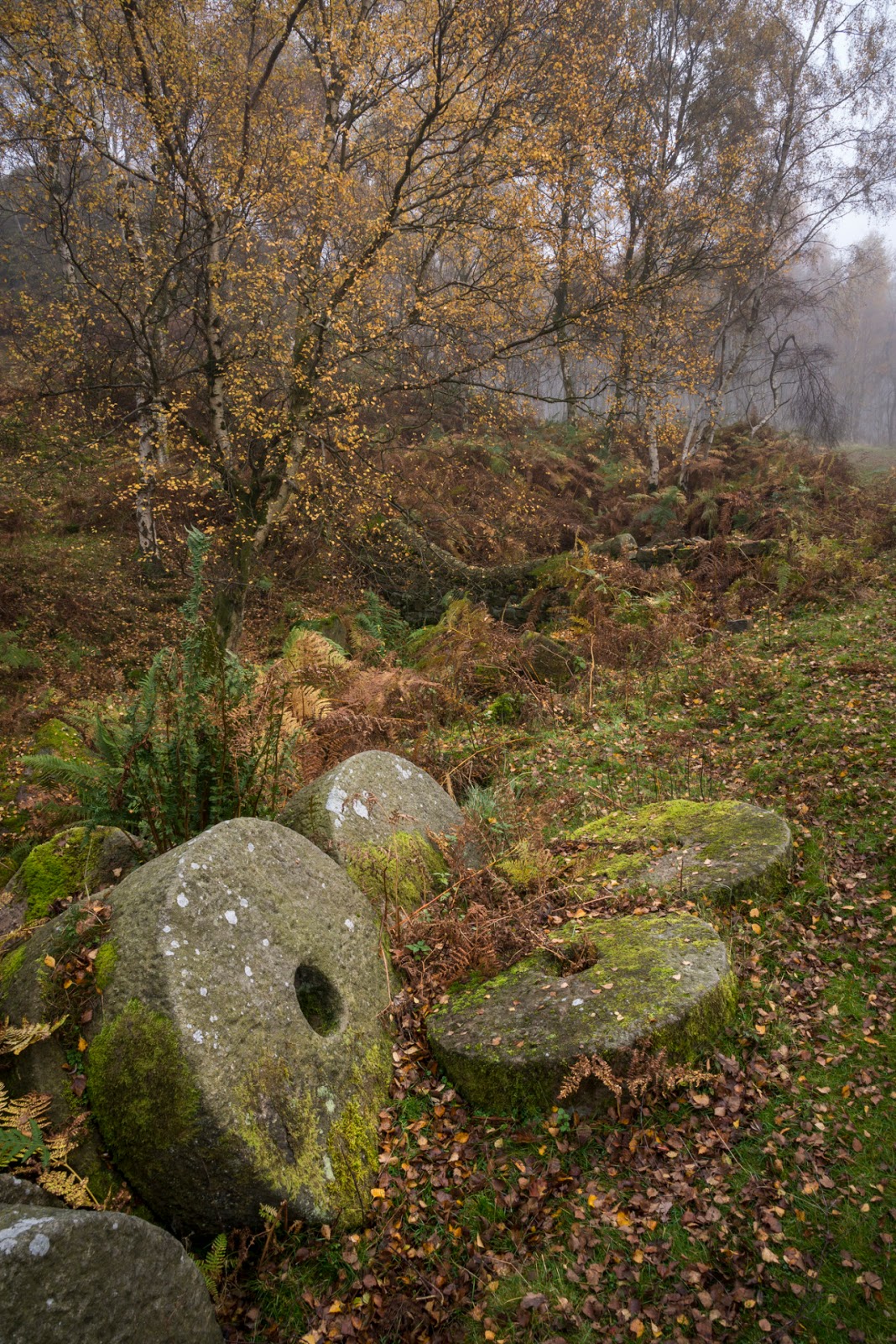 daily timewaster: Old stones at Bolehill quarry, Derbyshire, by Andrew ...