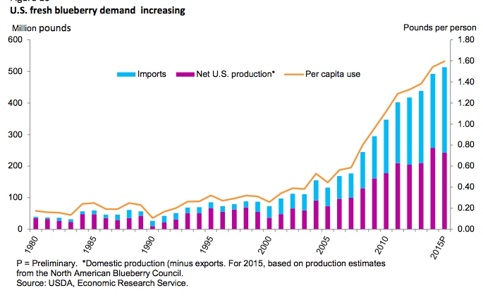Graphs Showing Agricultural Trends | Big Picture Agriculture