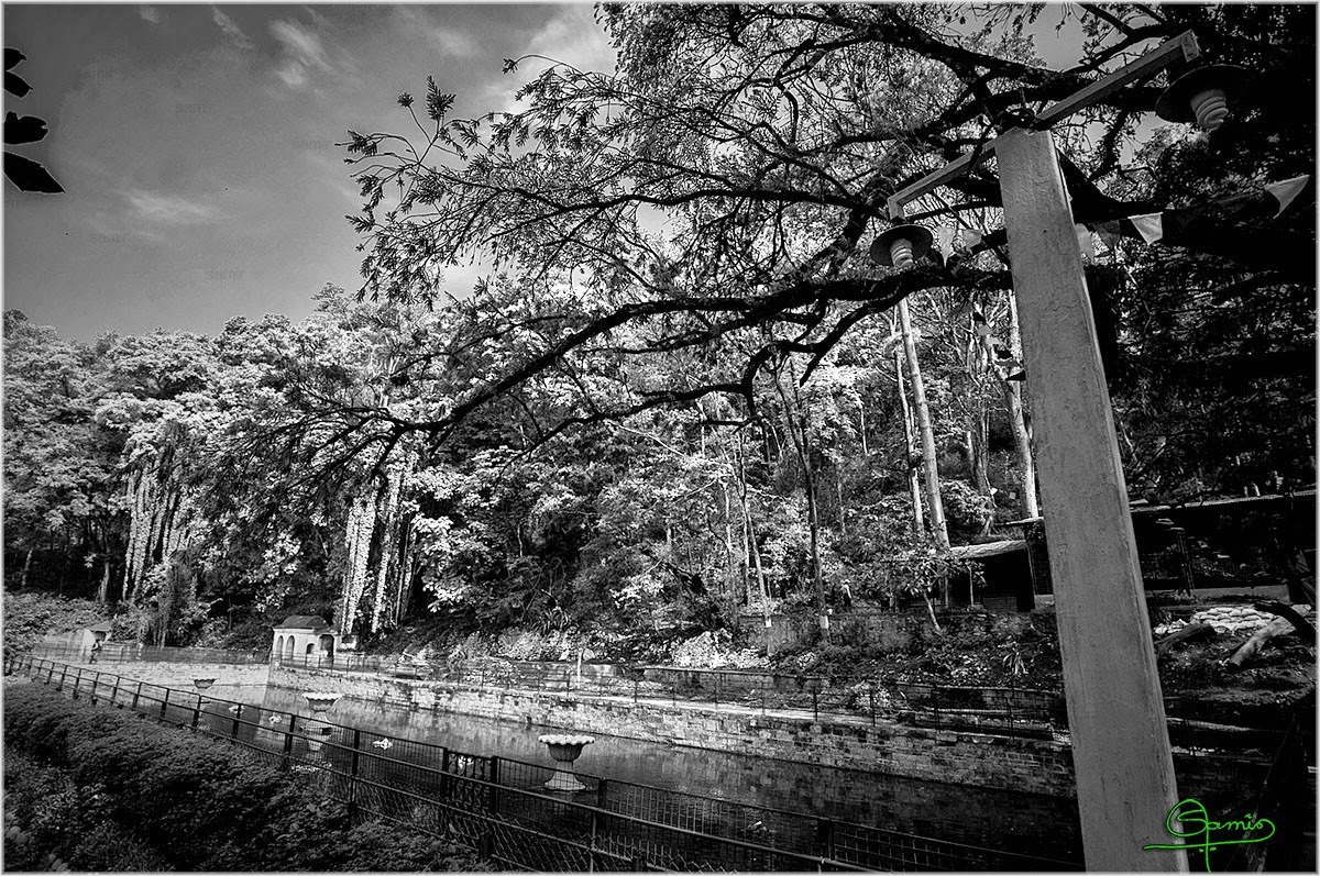 Samir Pradhananga Photography: Balaju 22 Dhara Park Photo Walk & Monkey ...