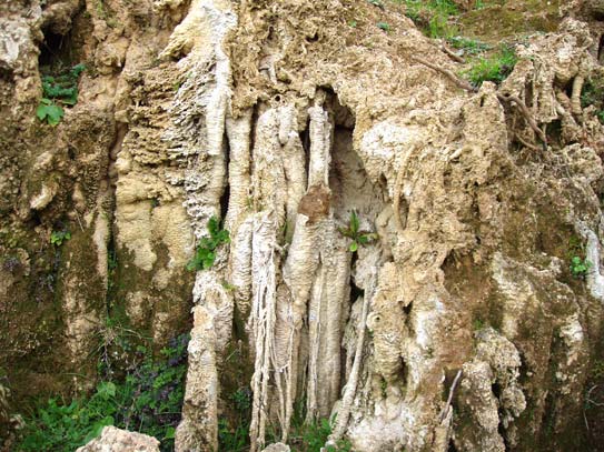 SENDERISMO EN EL RIF/RANDONNÉES DANS LE RIF: DHAR HAJAR Y FAHS LEMHAR ...