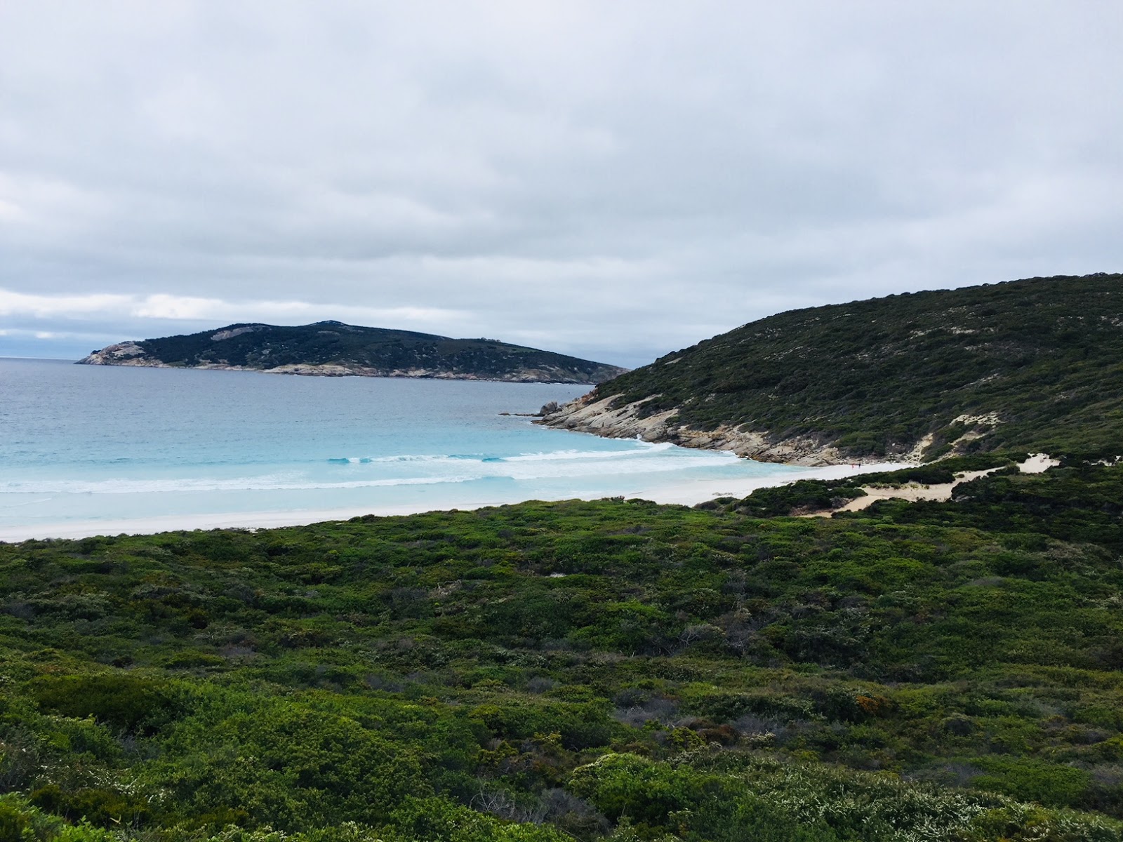sunshinecoastbirds: WESTERN AUSTRALIA PART 3 – Cheynes Beach to Perth ...